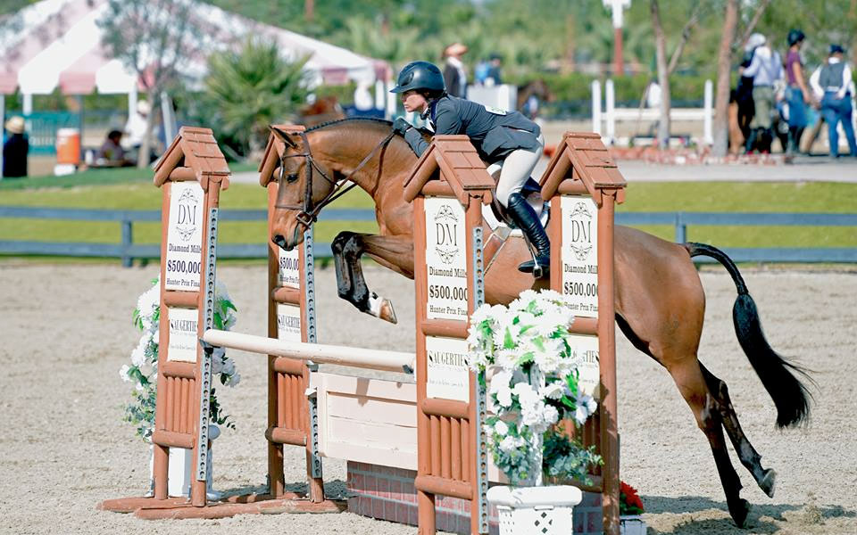 Willow Brook Stables | Come Grow with Us!