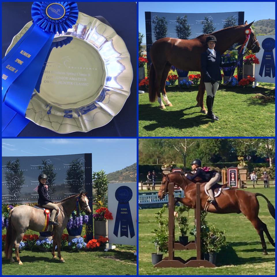 Blenheim Spring Classic II | Willow Brook Stables