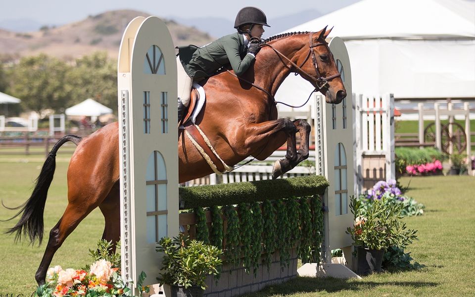 Willow Brook Stables | Come Grow with Us!