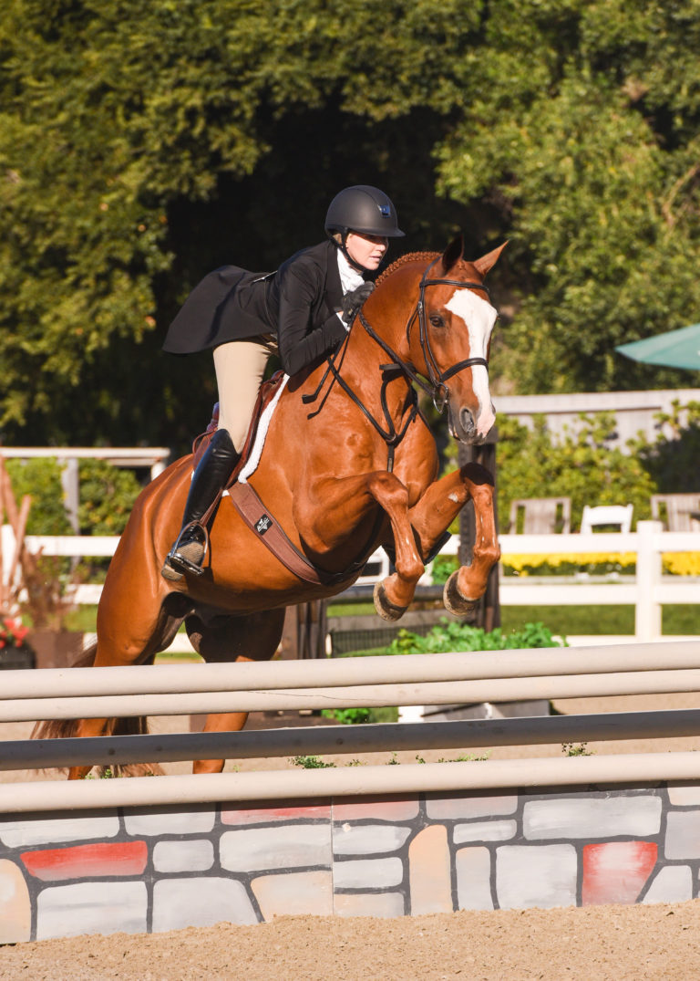 Training | Willow Brook Stables