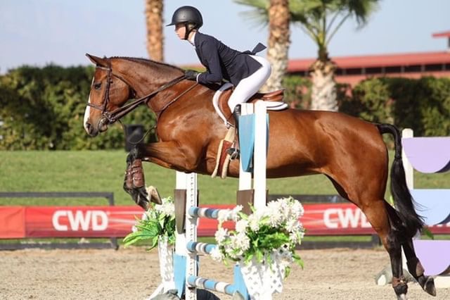 Services | Willow Brook Stables