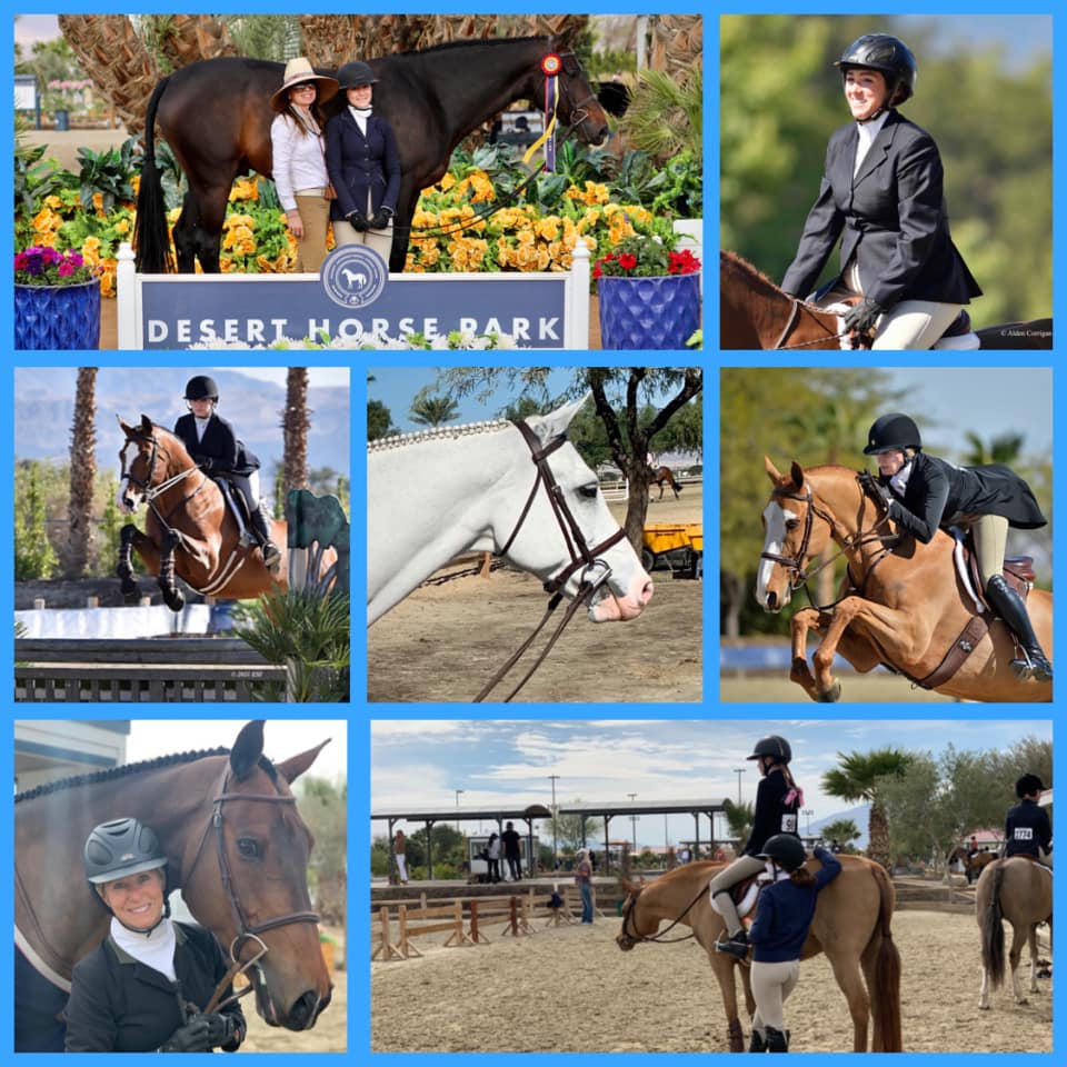 Desert Circuit | Willow Brook Stables