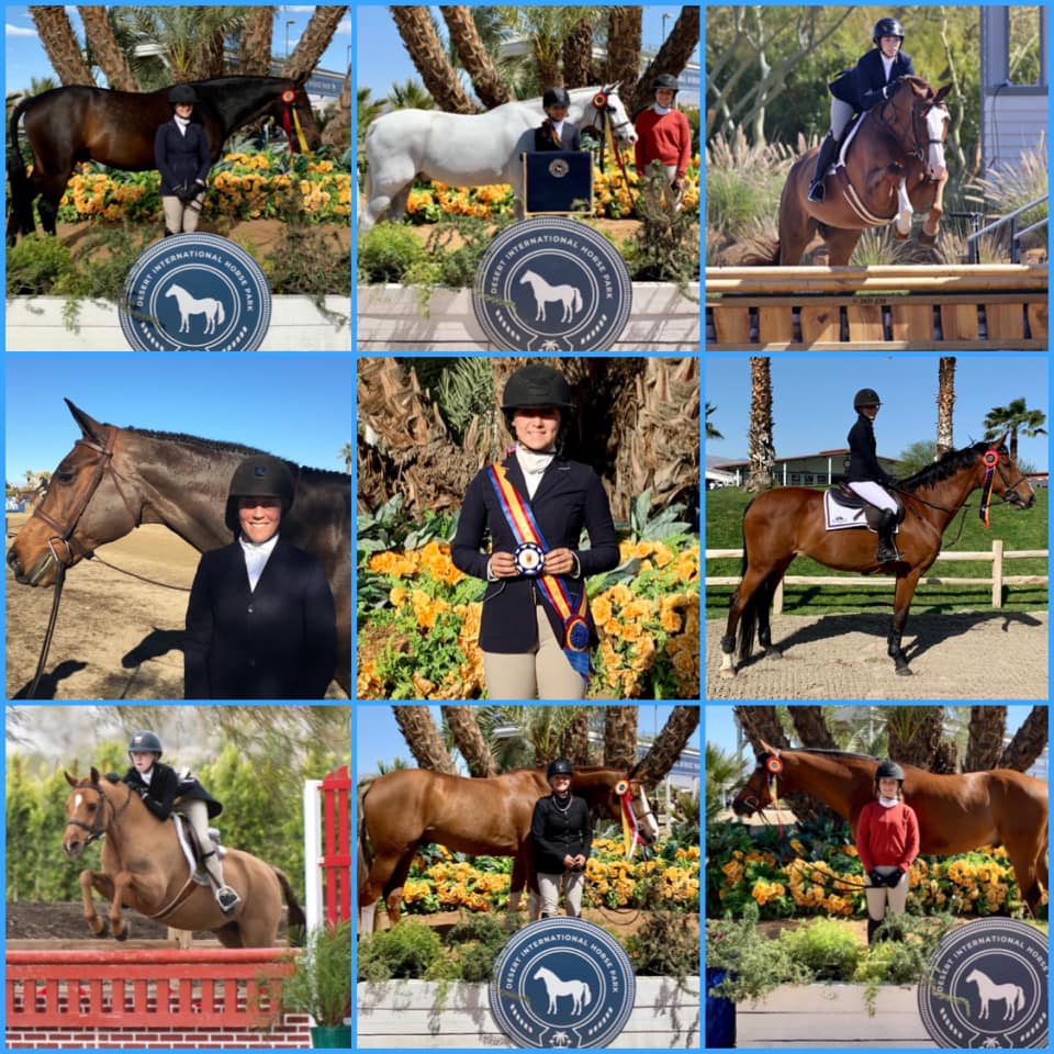 Desert Circuit | Willow Brook Stables