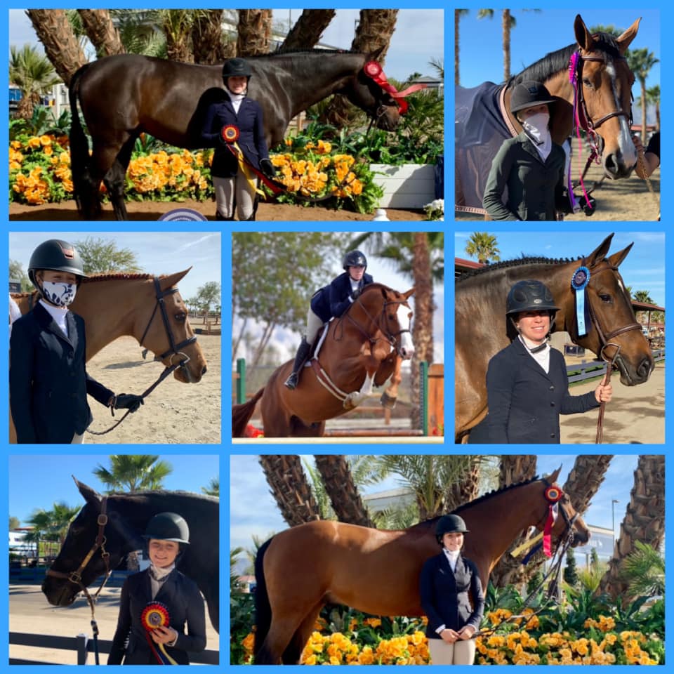 Showpark Ranch and Coast Classic | Willow Brook Stables