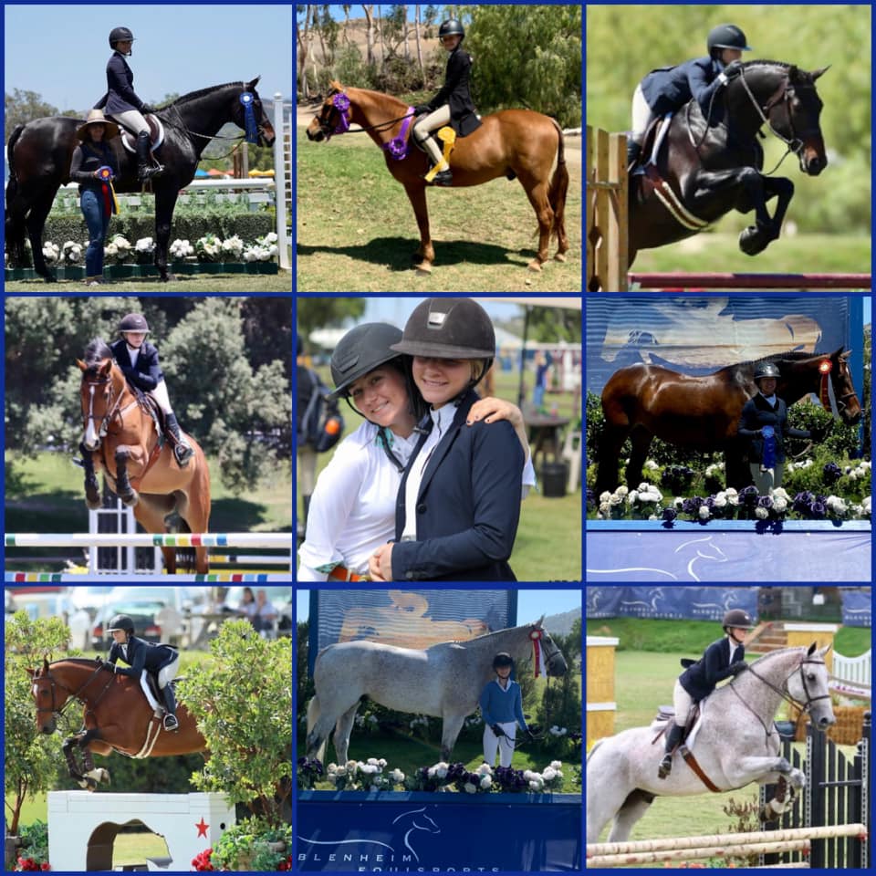 Desert Circuit | Willow Brook Stables